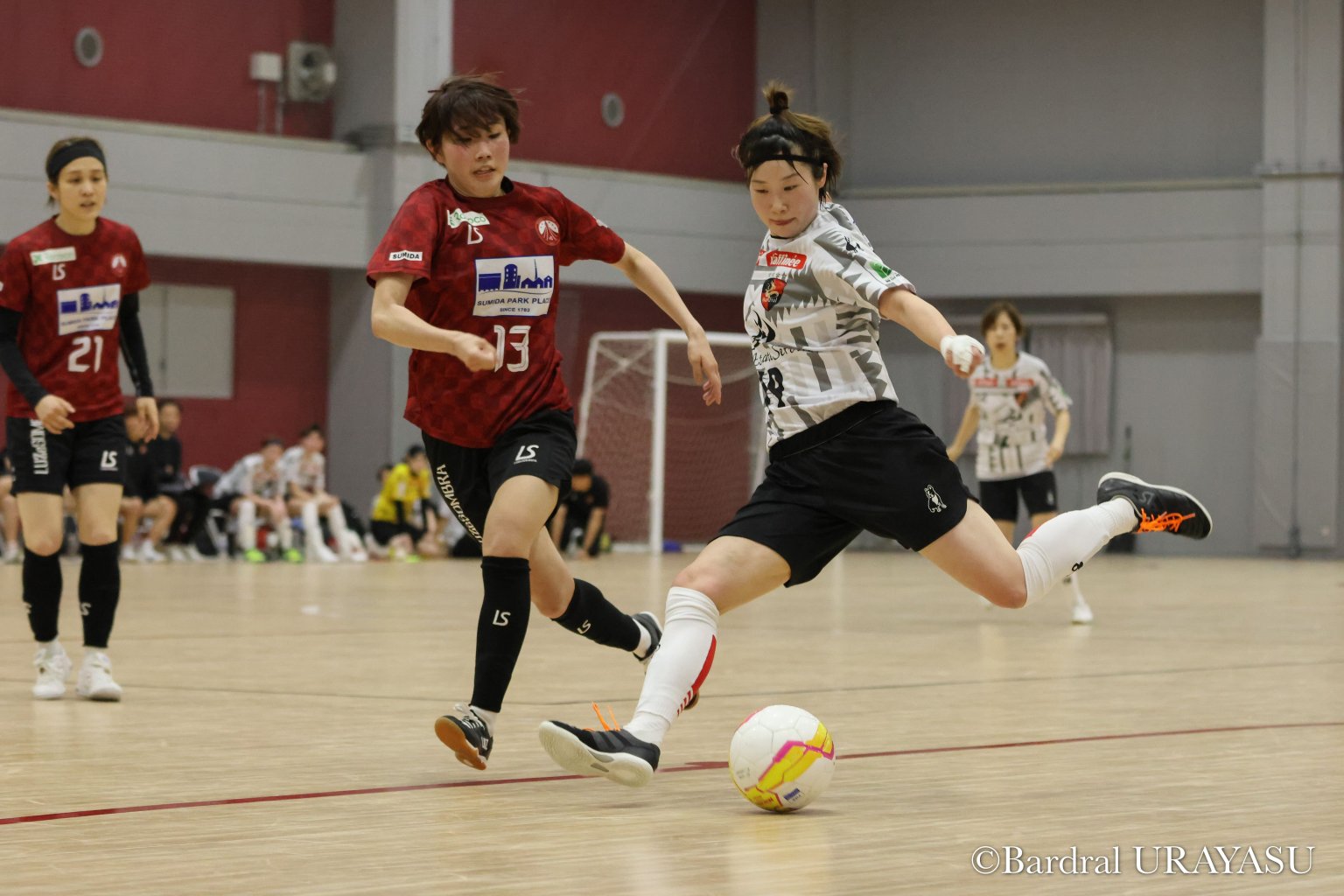 【ラス・ボニータス】公開トレーニングマッチ開催のお知らせ | バルドラール浦安 – Bardral URAYASU Futbol Sala Official Website